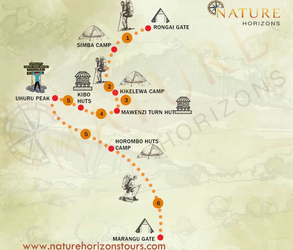 Kilimanjaro 6 Days Rongai Route - Nature Horizons