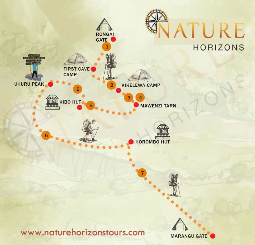 Kilimanjaro 7 Days Rongai Route - Nature Horizons