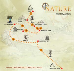 Kilimanjaro 7 Days Rongai Route - Nature Horizons