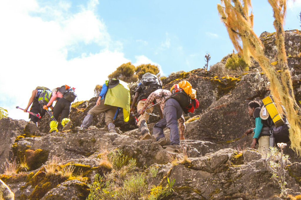 Kilimanjaro 7 Days Rongai Route - Nature Horizons