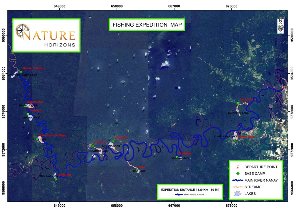 Amazon - Nature Horizons
