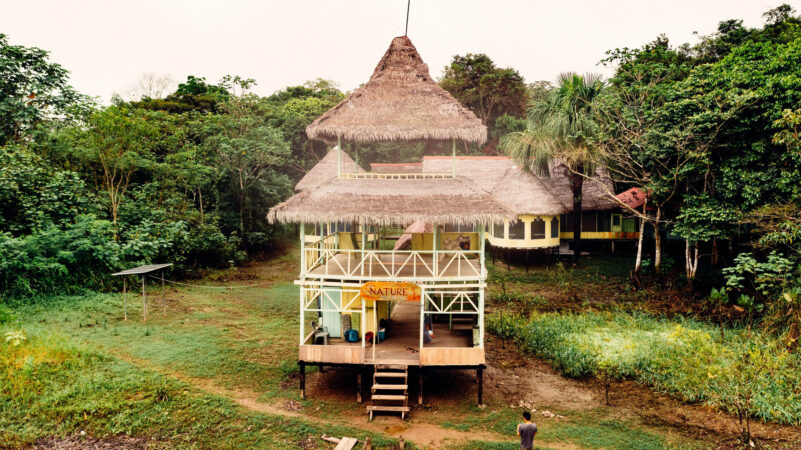 Accommodation in the Amazon Rainforest - Nature Horizons Lodge - Nature ...